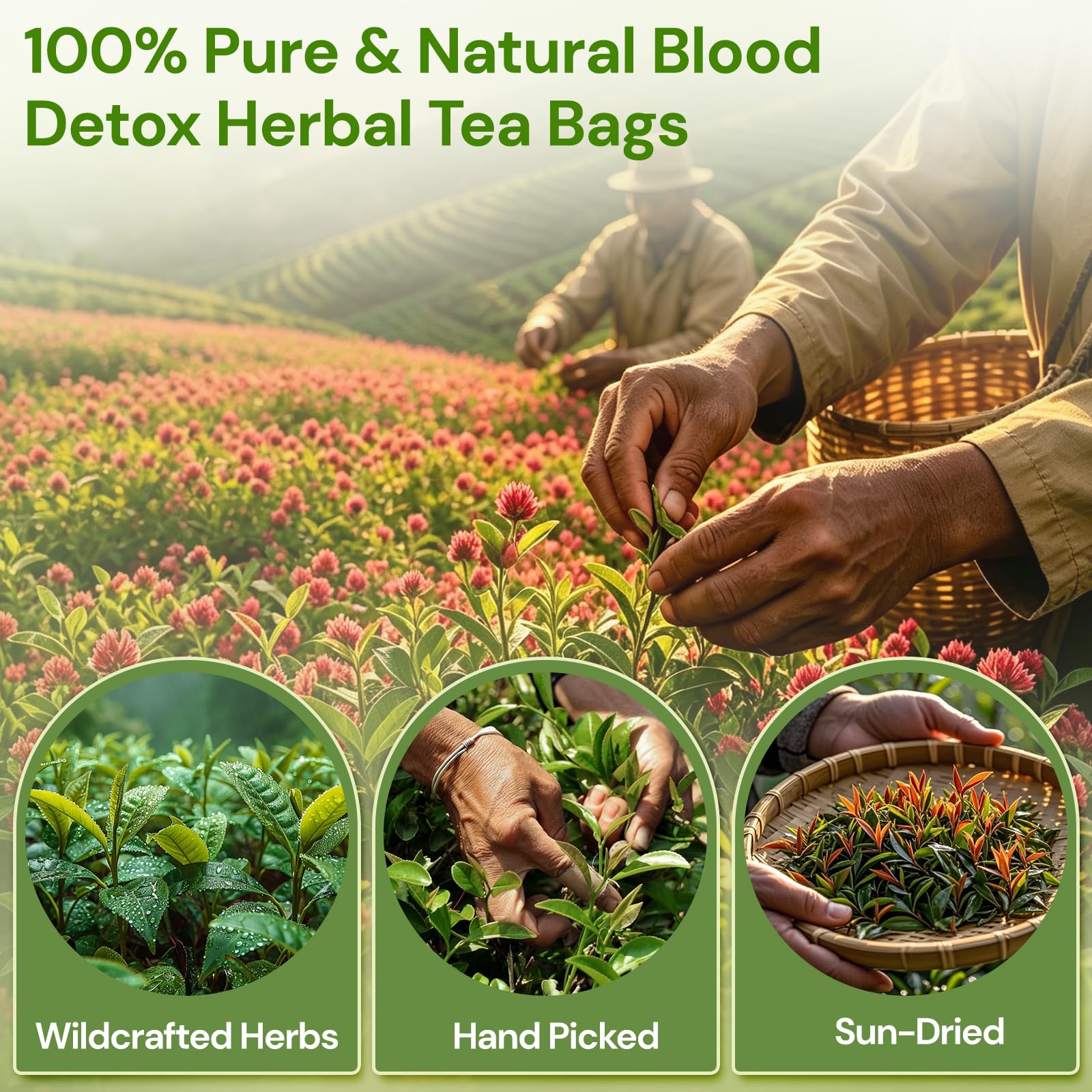 Healing Garden herbal detox blend