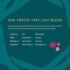 Healing Leaves tea bags for relaxation