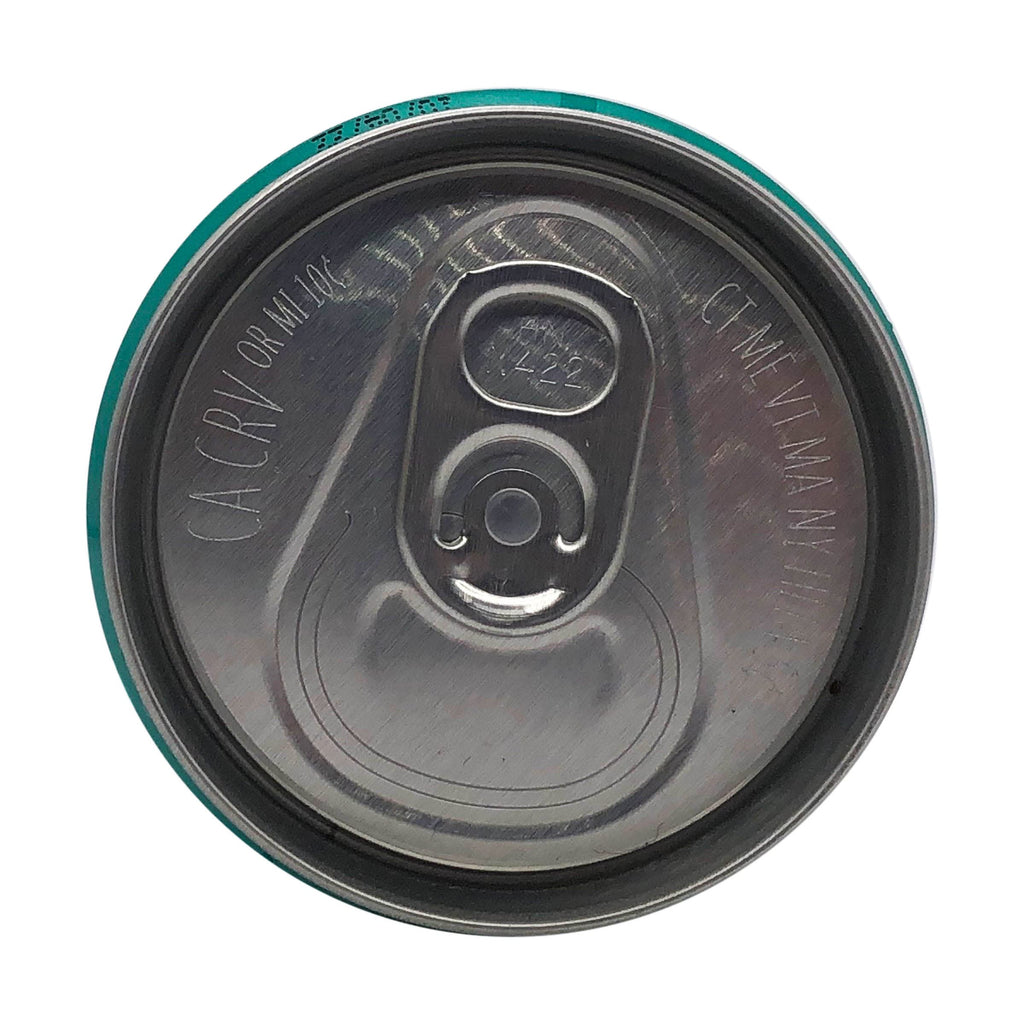 health ade ginger fizz review