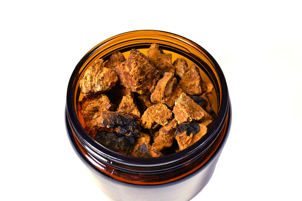 health and wellness mushroom supplement