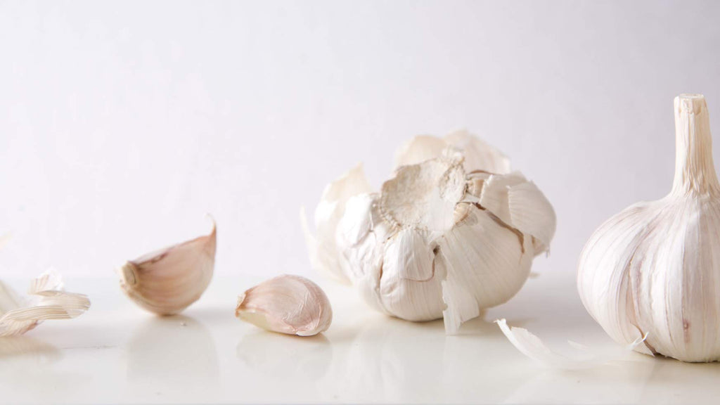 Health benefits of aged garlic extract
