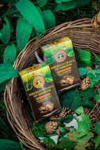 health benefits of chaga mushrooms