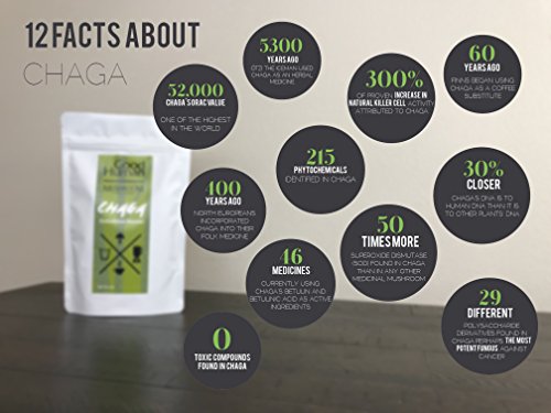 health benefits of chaga mushrooms
