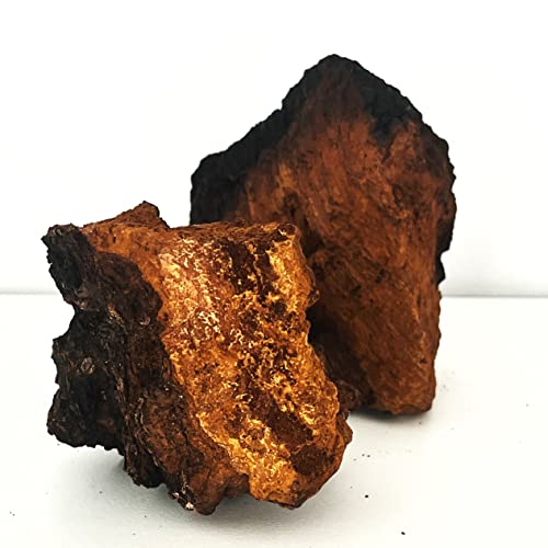 health benefits of chaga mushrooms