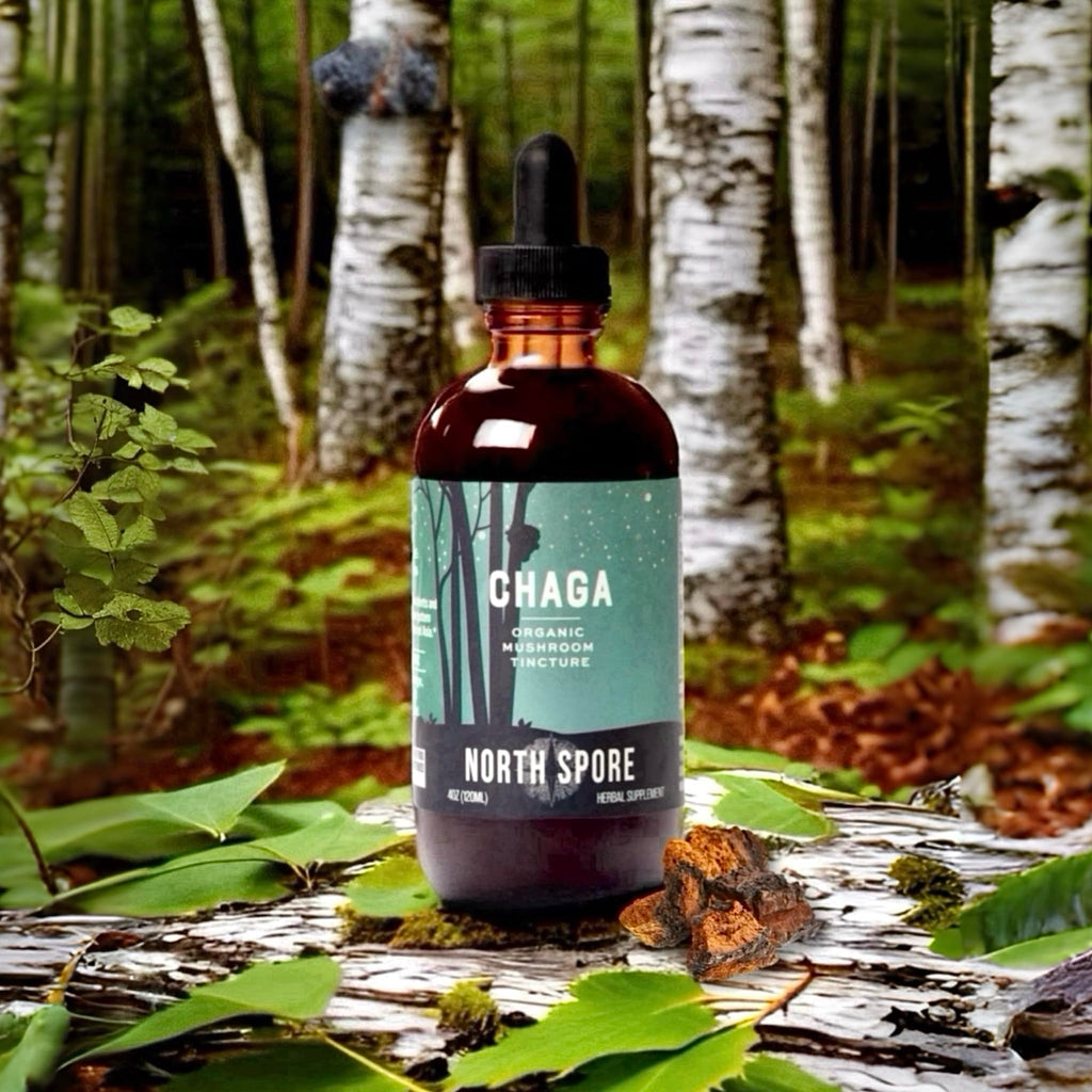 health benefits of Chaga mushrooms