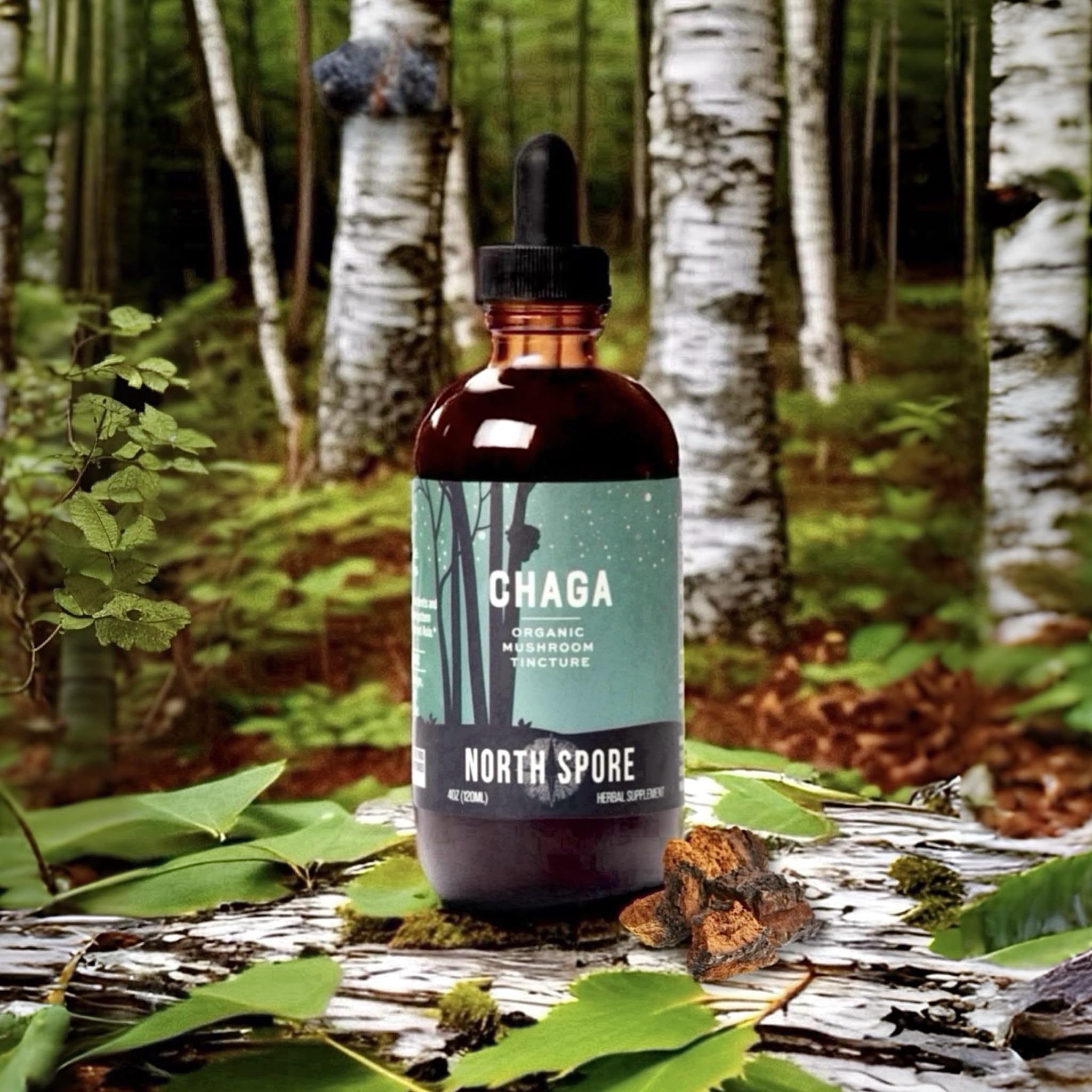 health benefits of Chaga mushrooms