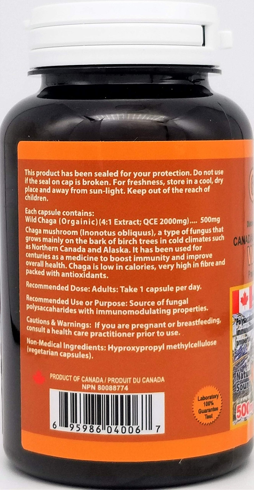 health benefits of chaga mushrooms
