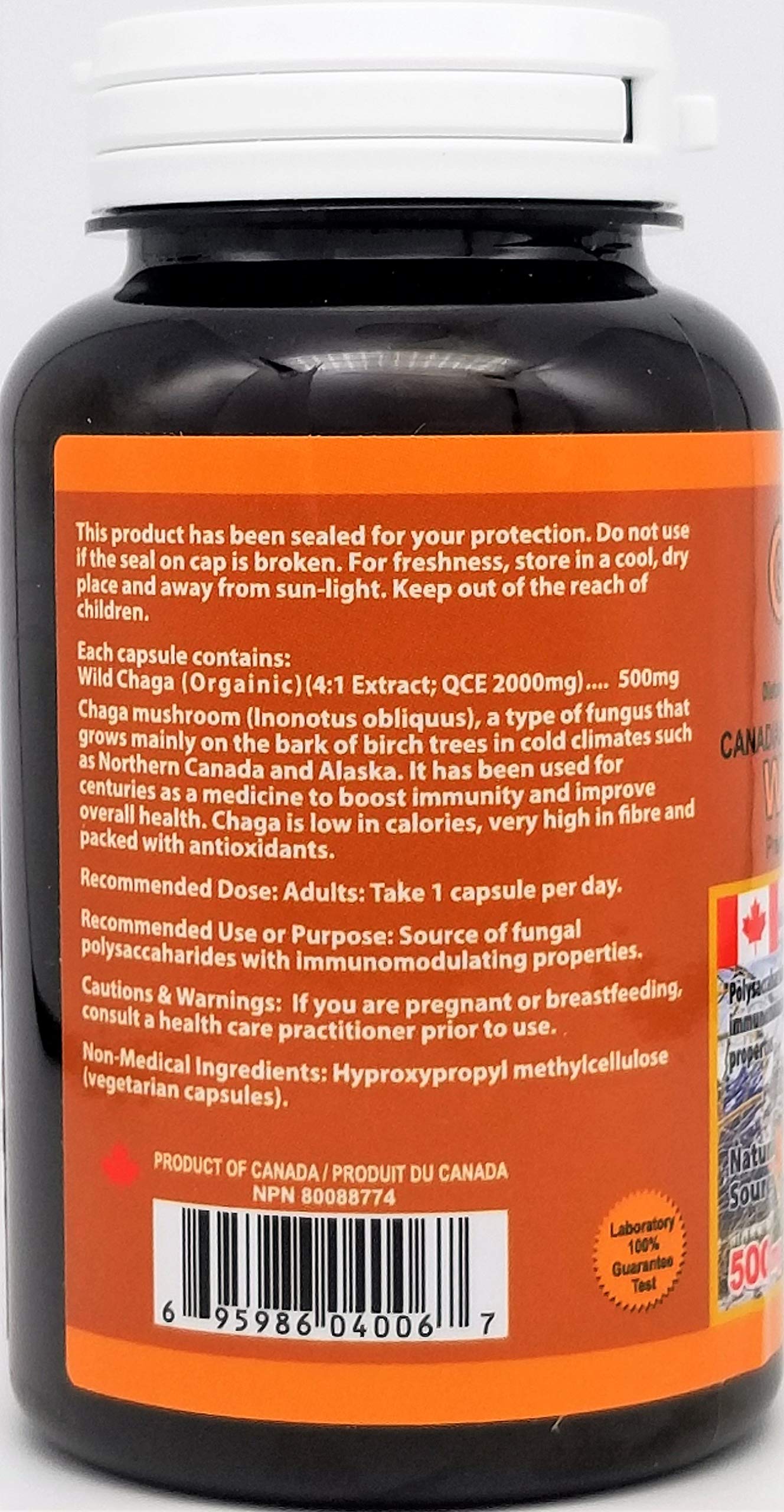 health benefits of chaga mushrooms