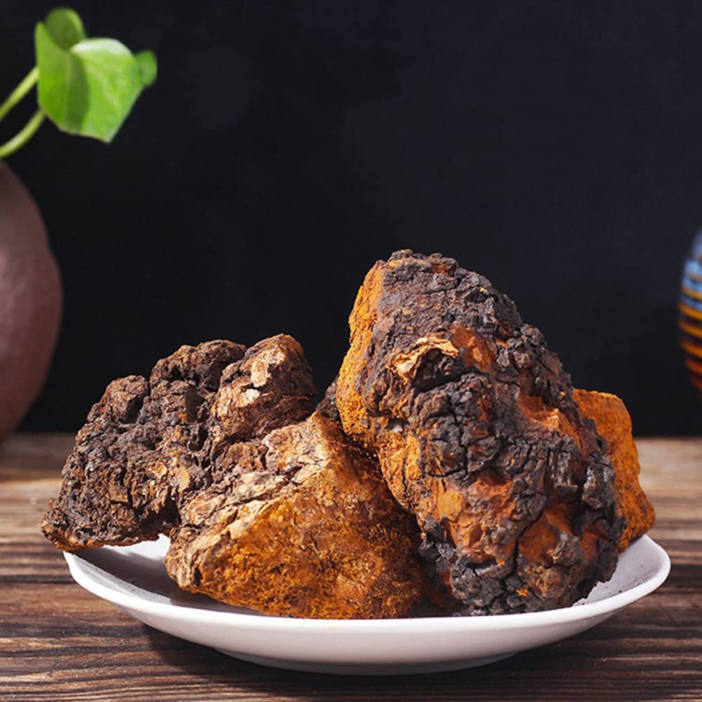 health benefits of chaga mushrooms