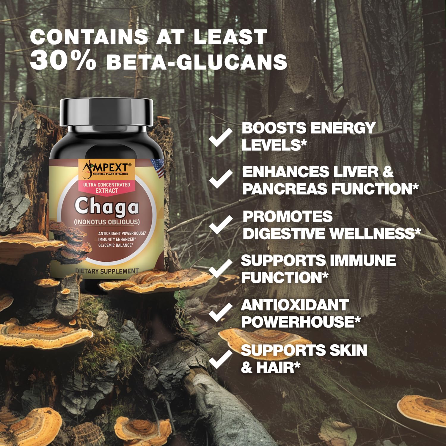 Health benefits of Chaga mushrooms