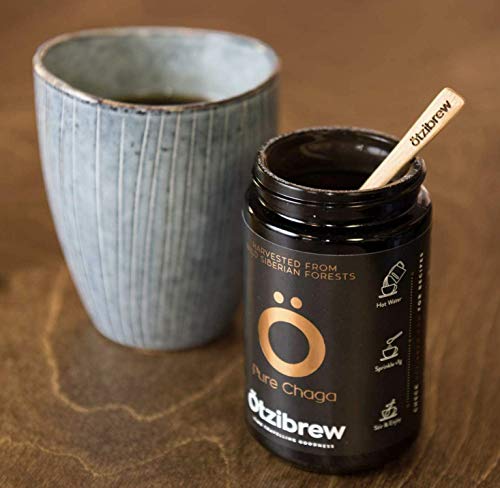 Health benefits of chaga mushrooms