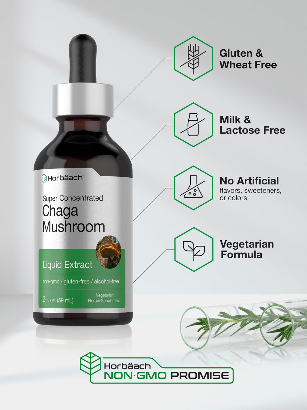 health benefits of Chaga mushrooms