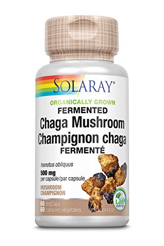 health benefits of chaga mushrooms