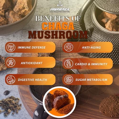 Health benefits of chaga mushrooms