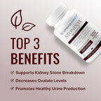 Health benefits of Chanca Piedra capsules