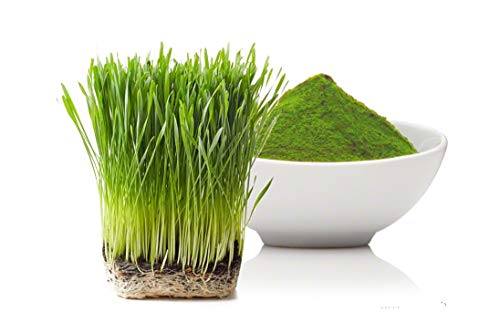 health benefits of chlorophyll for women