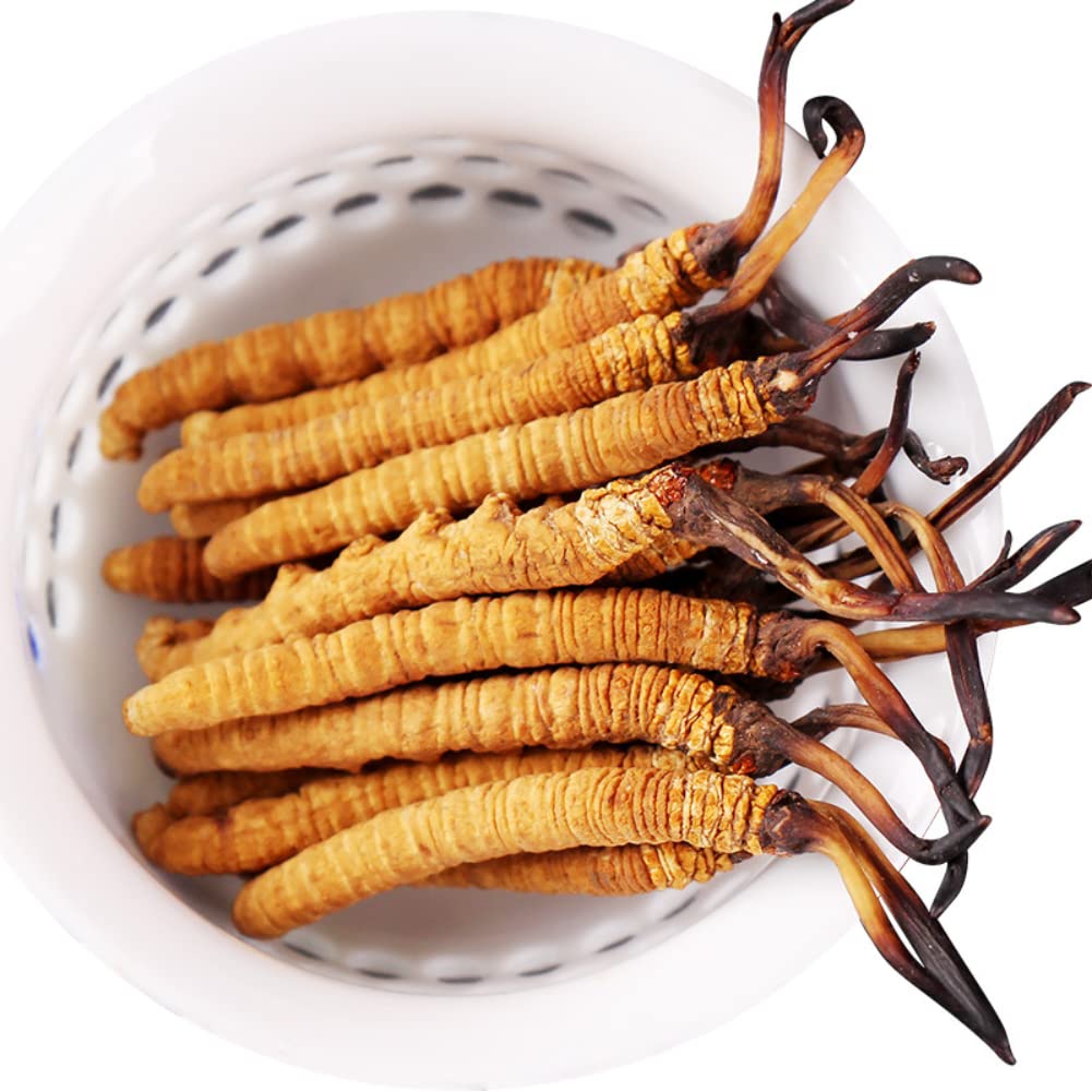 health benefits of cordyceps mushrooms