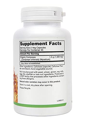 Health benefits of Cordyceps mushrooms
