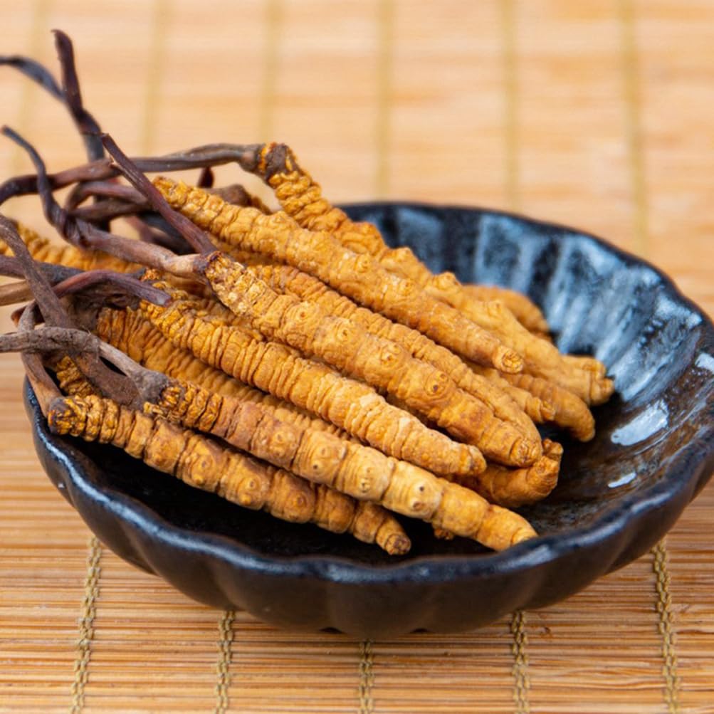 Health benefits of Cordyceps mushrooms