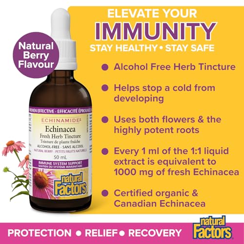 health benefits of echinacea extract