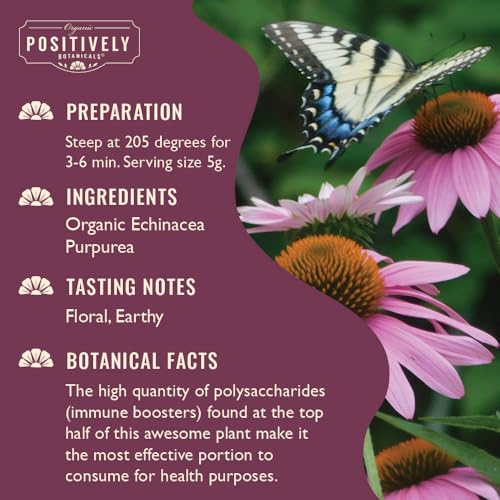 health benefits of echinacea tea
