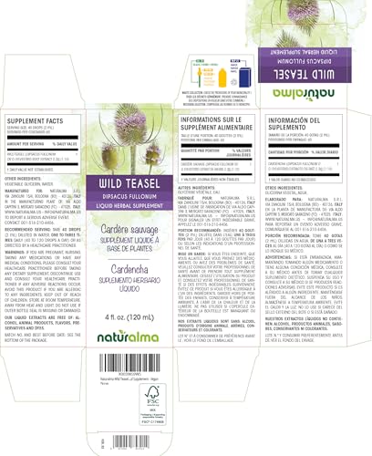 health benefits of echinacea tincture