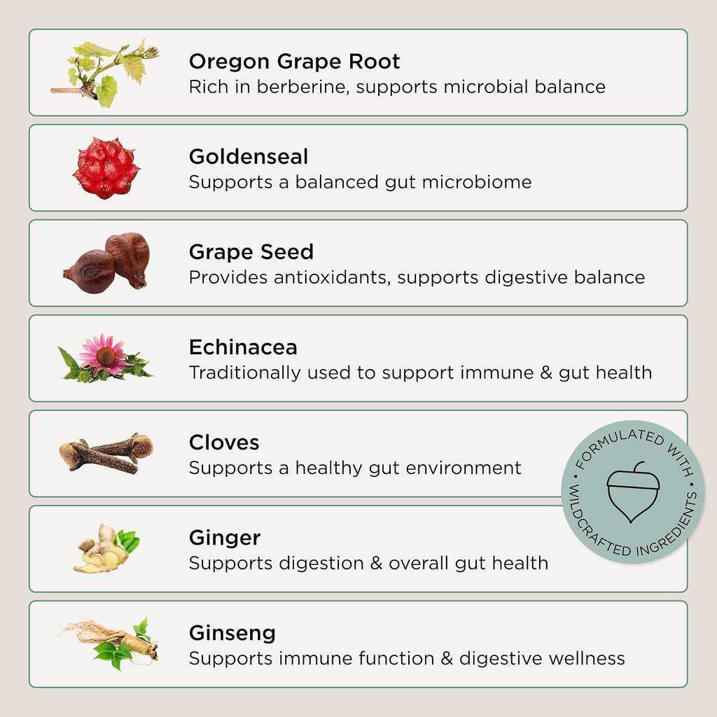 health benefits of ginger tea detox