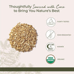 health benefits of ginger tea