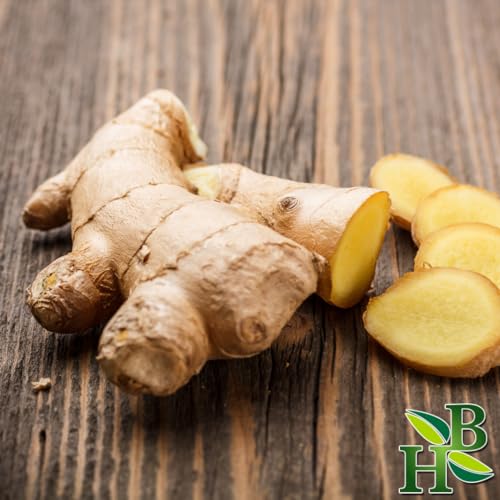 health benefits of ginger