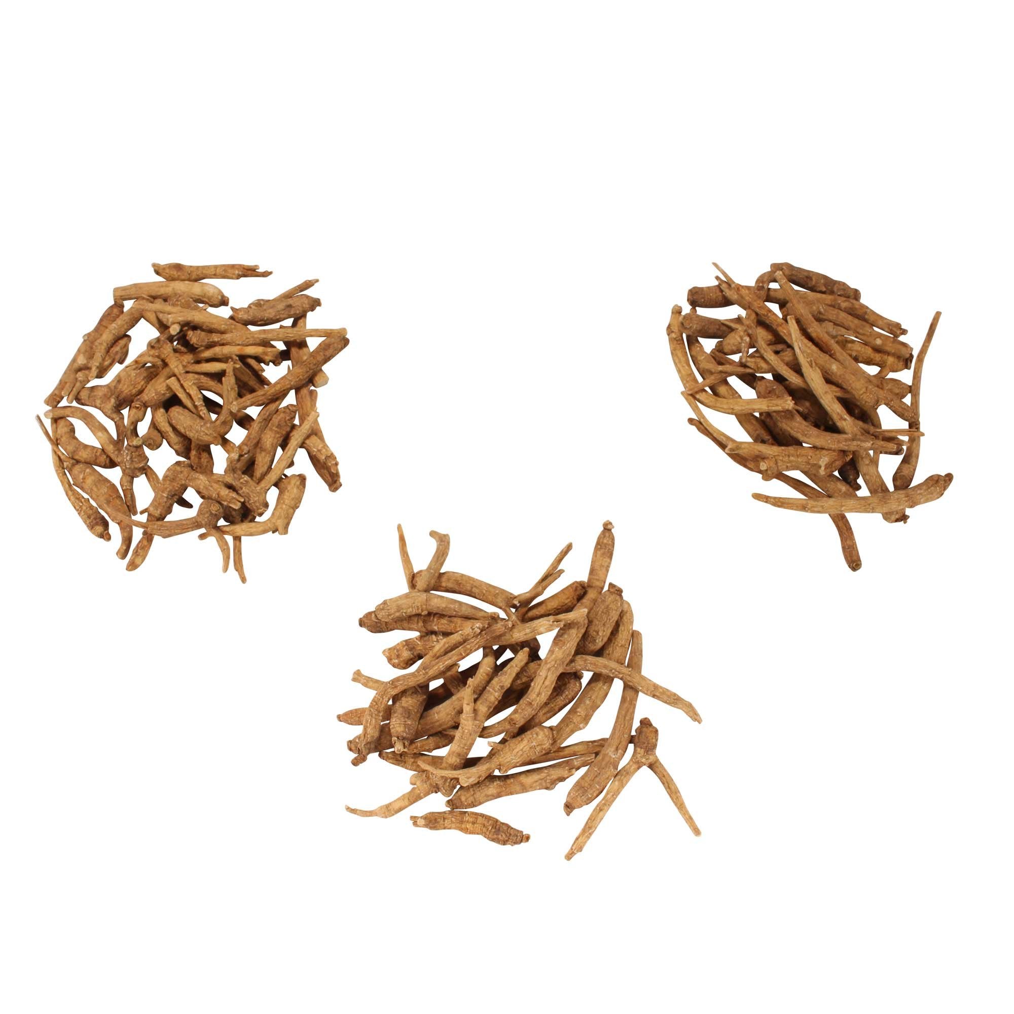 health benefits of ginseng root