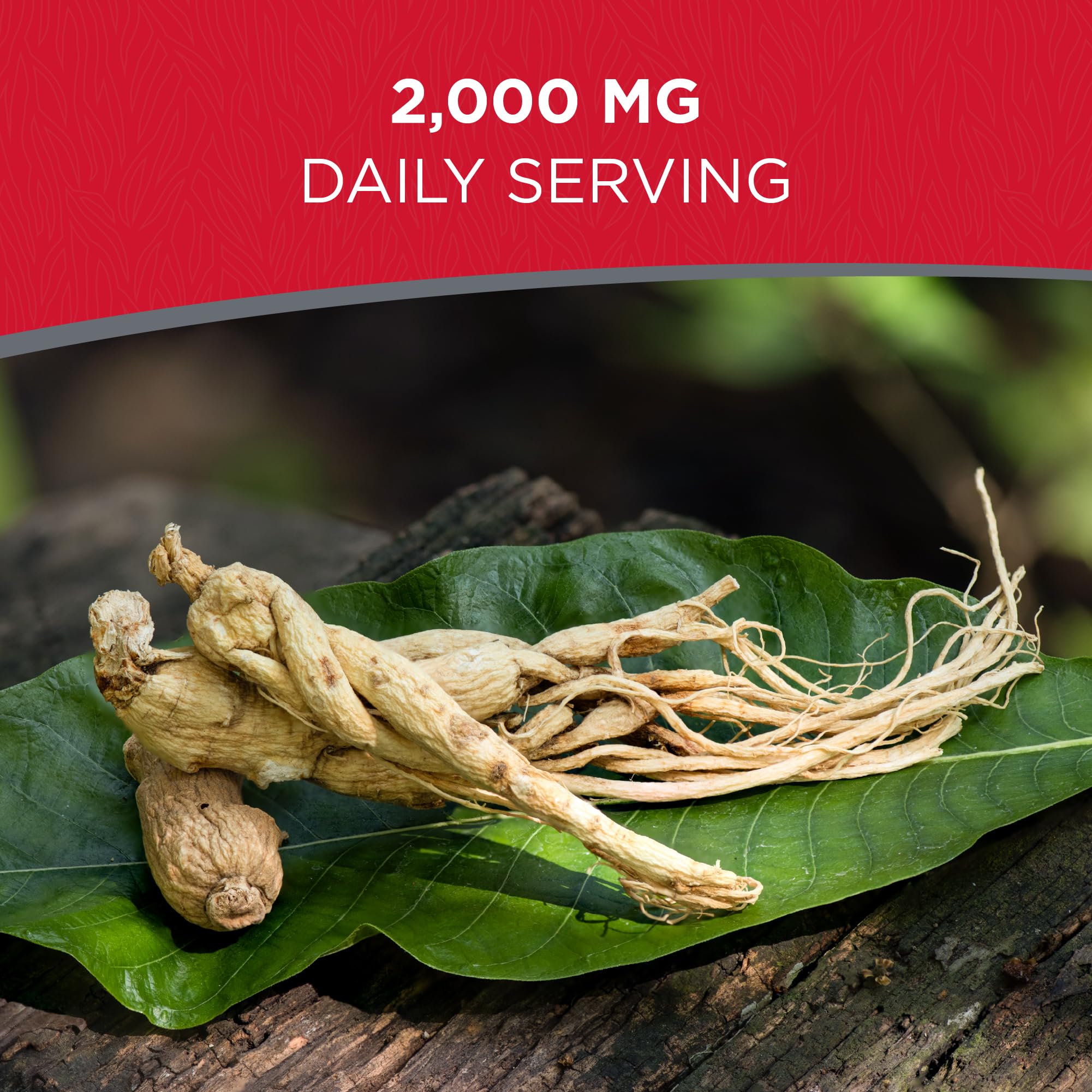 health benefits of ginseng roots
