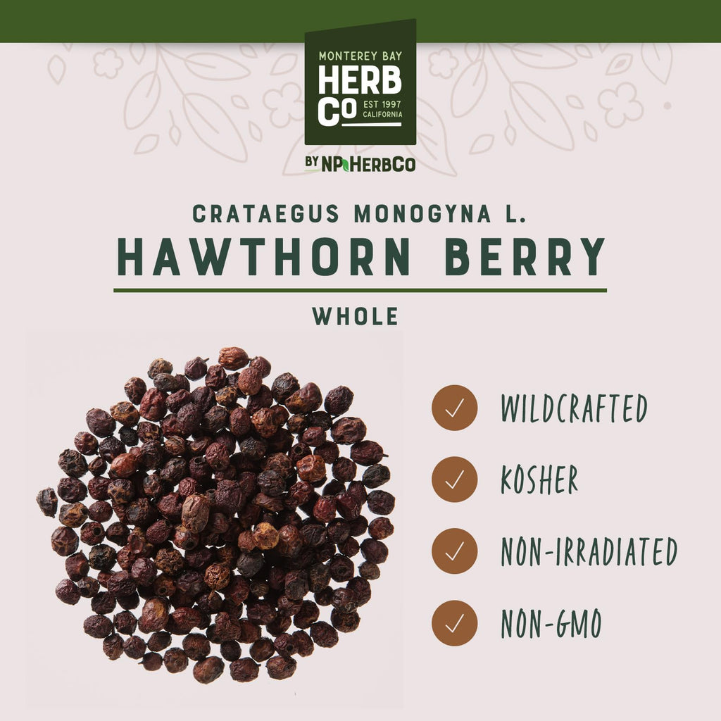 health benefits of hawthorn berries