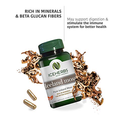 health benefits of Iceland Moss capsules