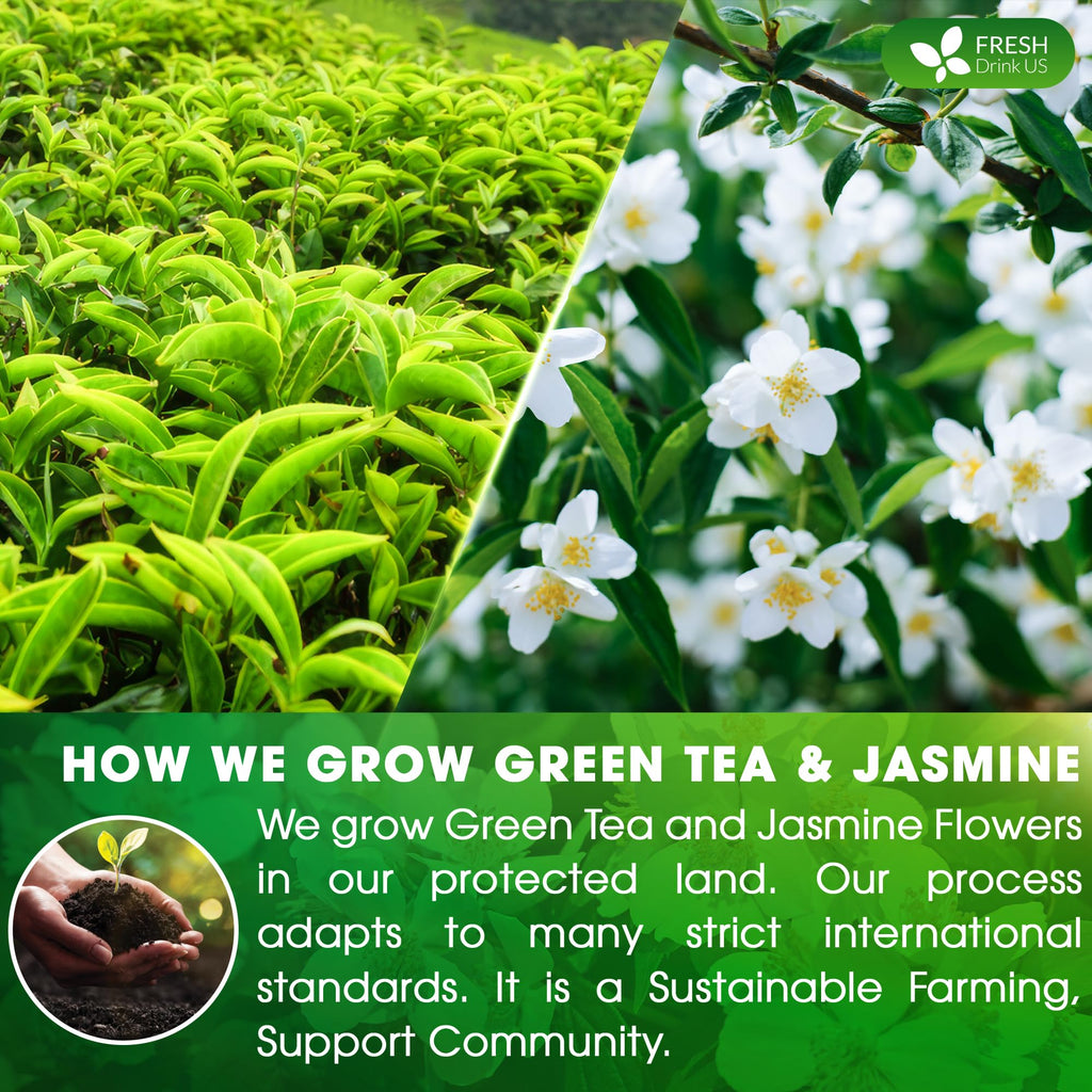 health benefits of jasmine tea