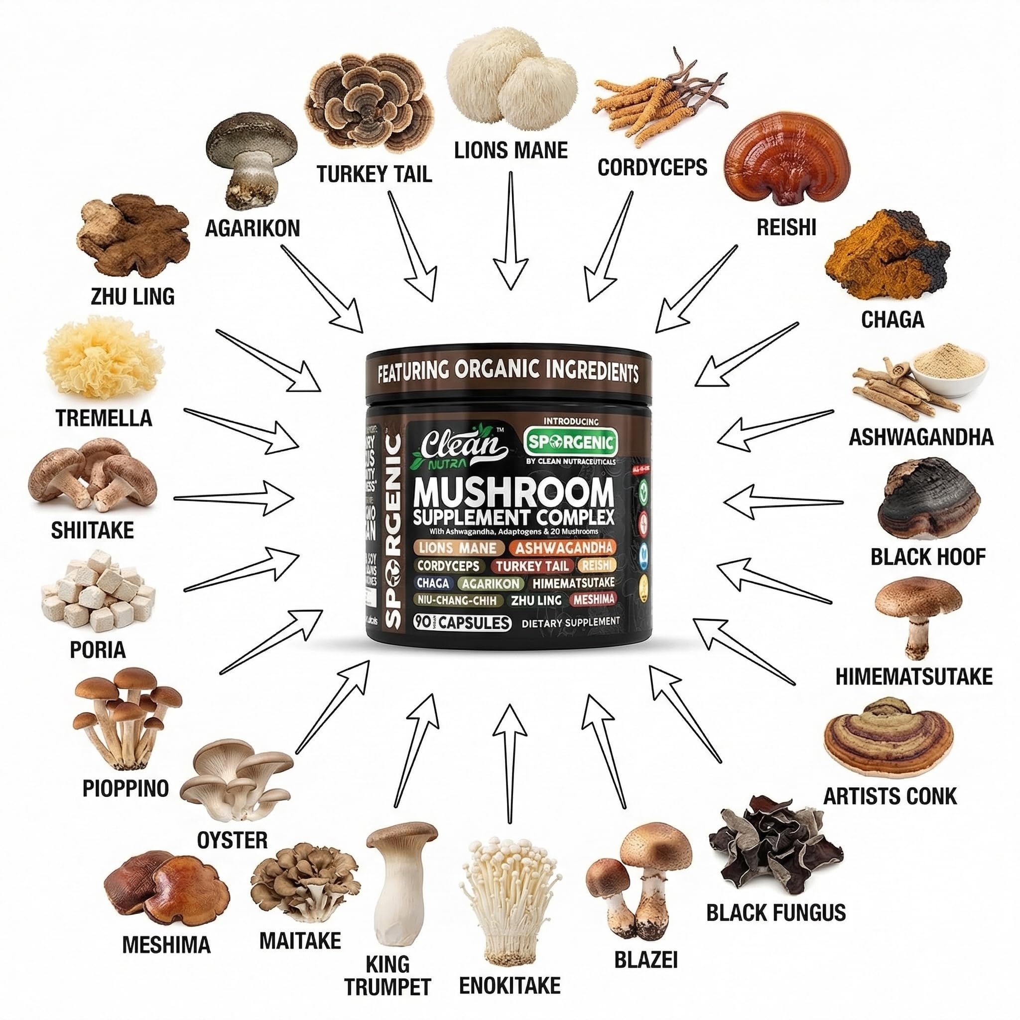 health benefits of lion's mane mushrooms