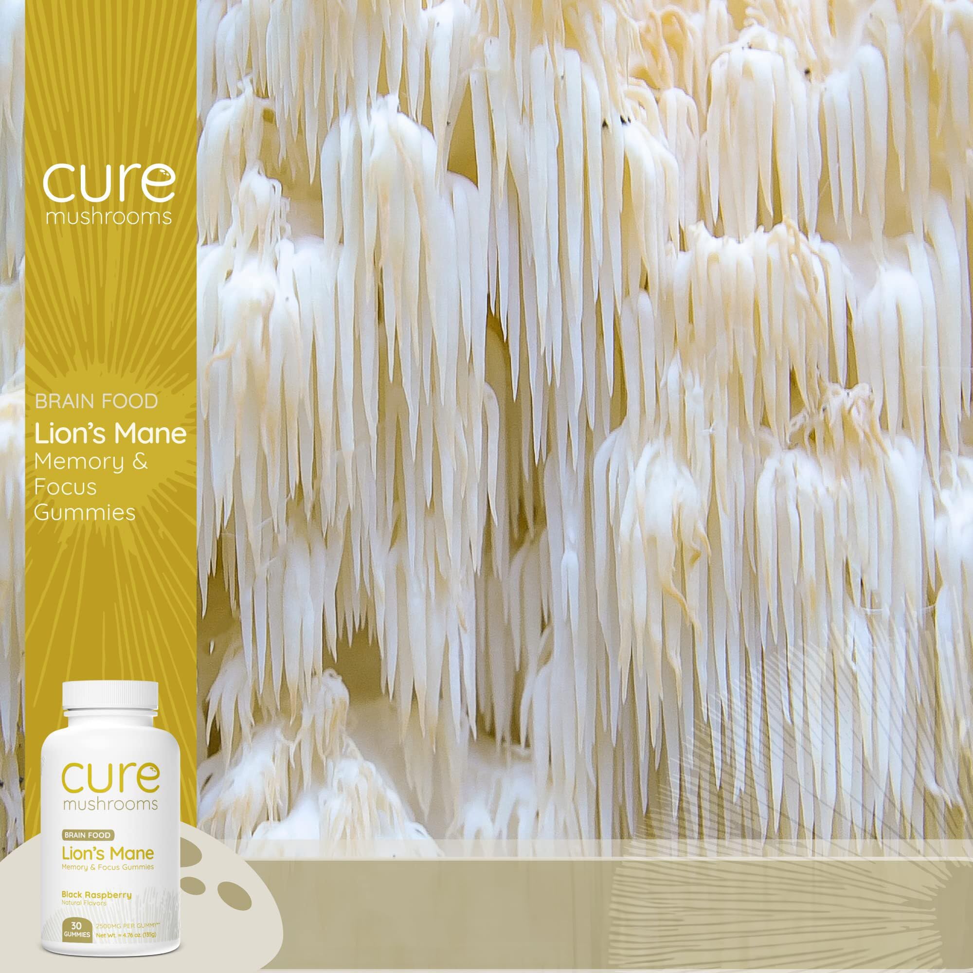 health benefits of lion's mane mushrooms