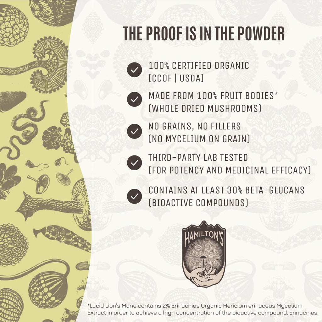 health benefits of lion's mane mushrooms