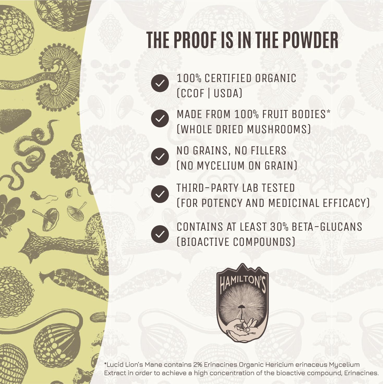 health benefits of lion's mane mushrooms
