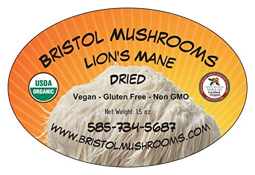 health benefits of lion's mane mushrooms