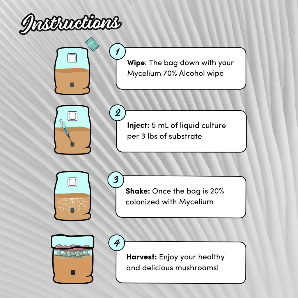 health benefits of Lion's Mane mushrooms