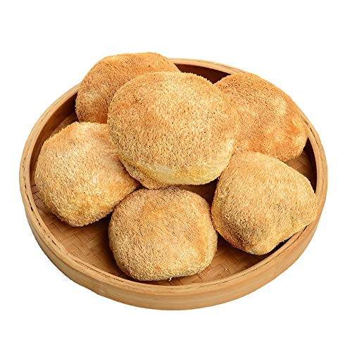 health benefits of lion's mane mushrooms