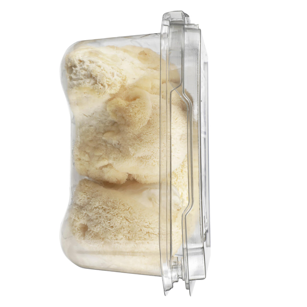 health benefits of lion's mane mushrooms