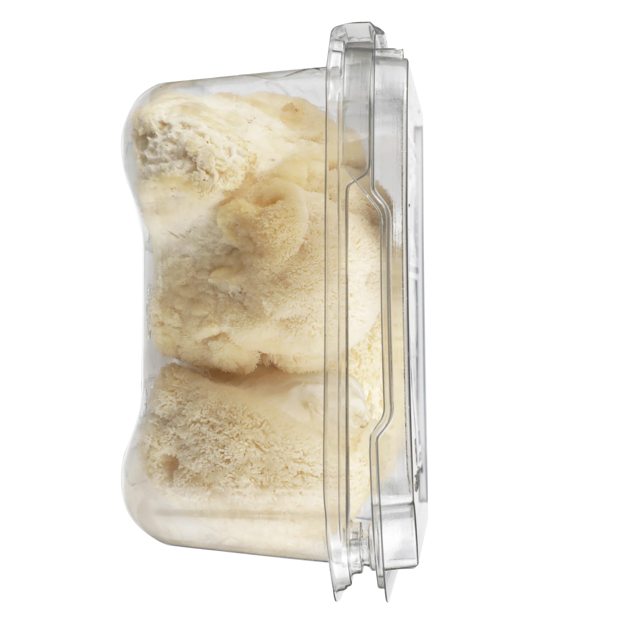 health benefits of lion's mane mushrooms