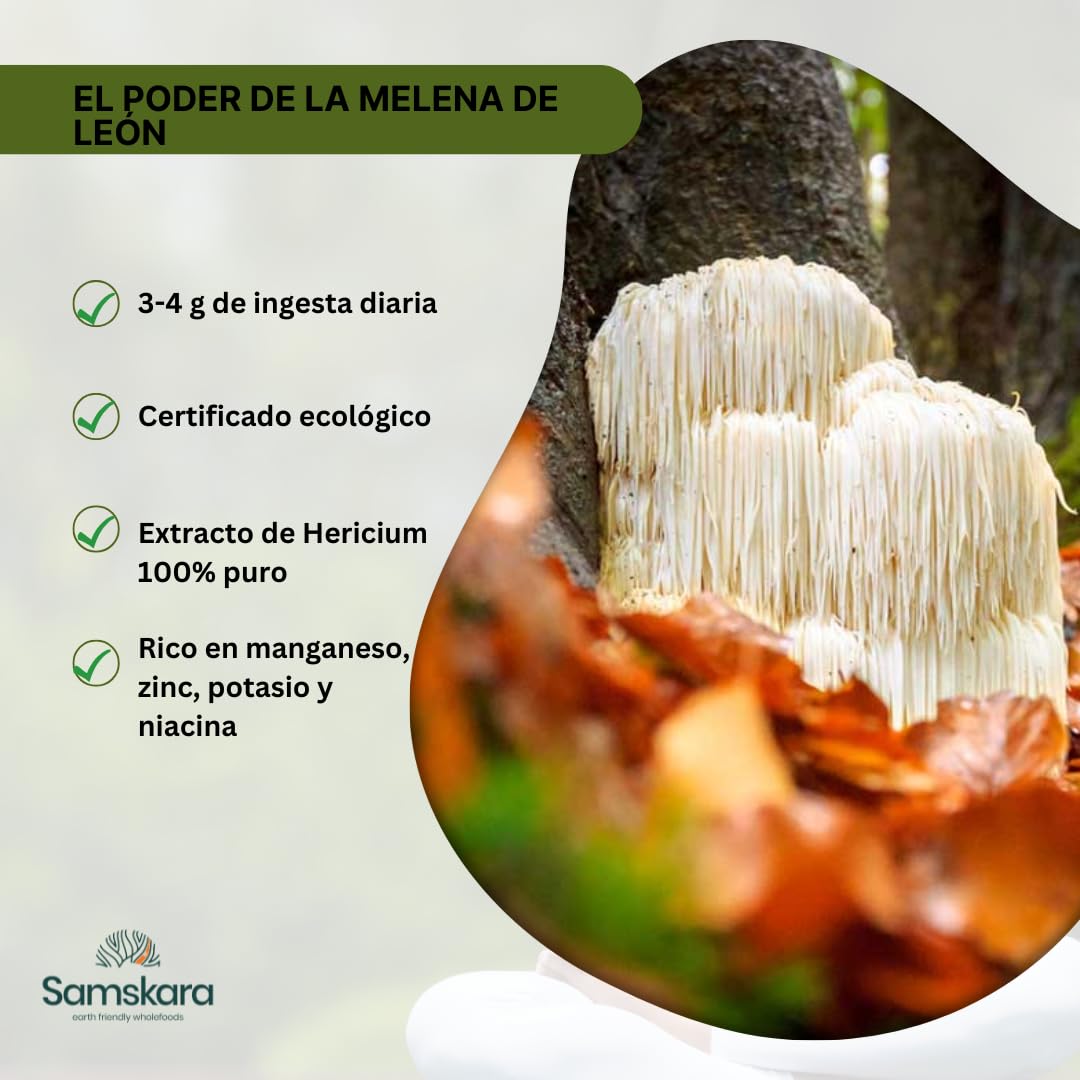health benefits of lion's mane mushrooms