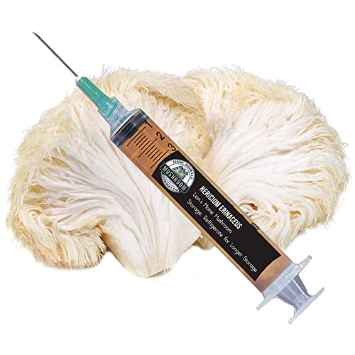 Health benefits of Lion's Mane mushrooms