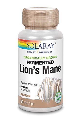 health benefits of Lion's Mane mushrooms