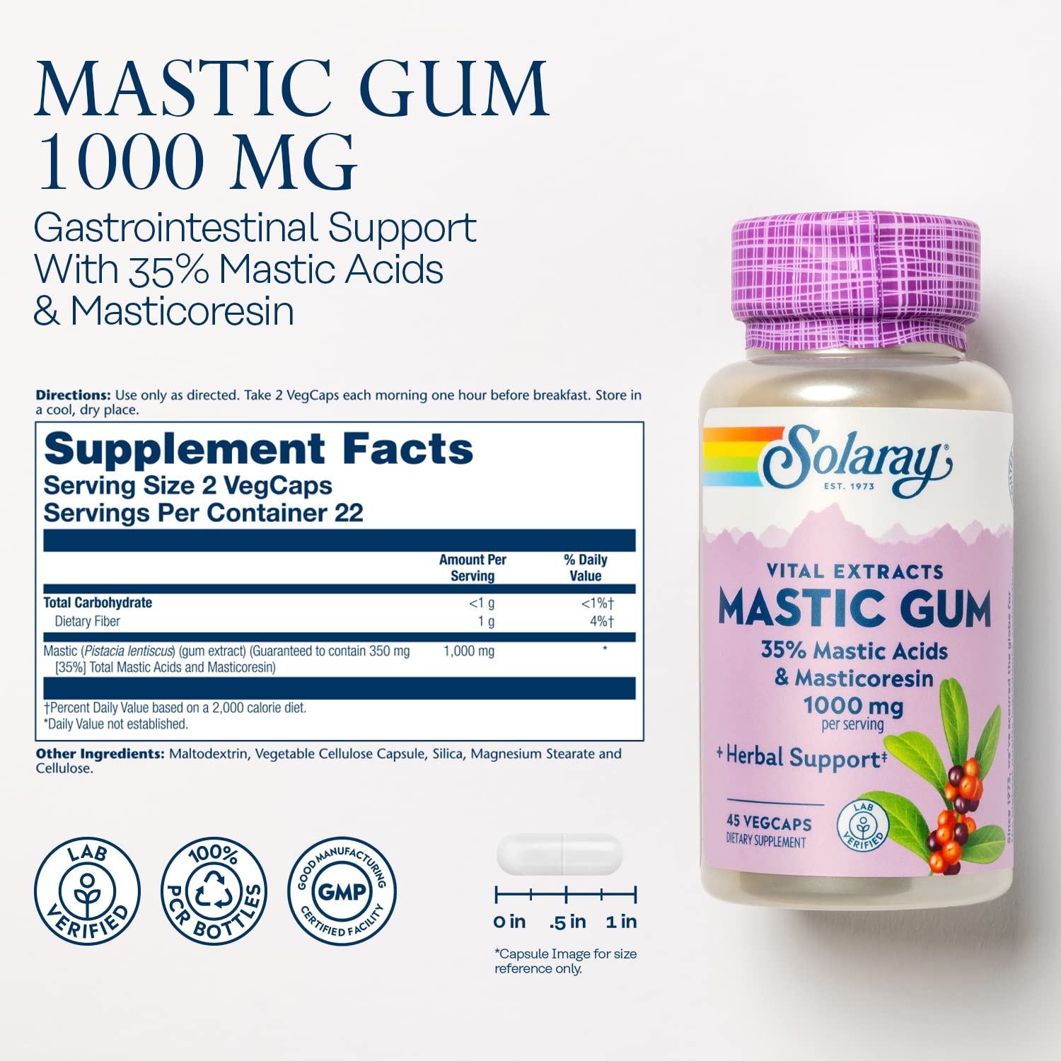 health benefits of Mastic Gum