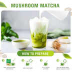 health benefits of mushroom matcha