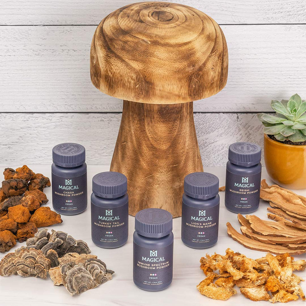 health benefits of mushroom supplements