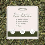 health benefits of nettle leaf